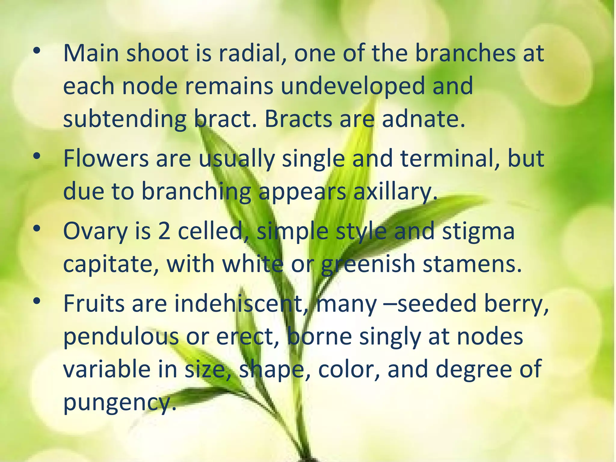 Important Solanaceae crops | PPT