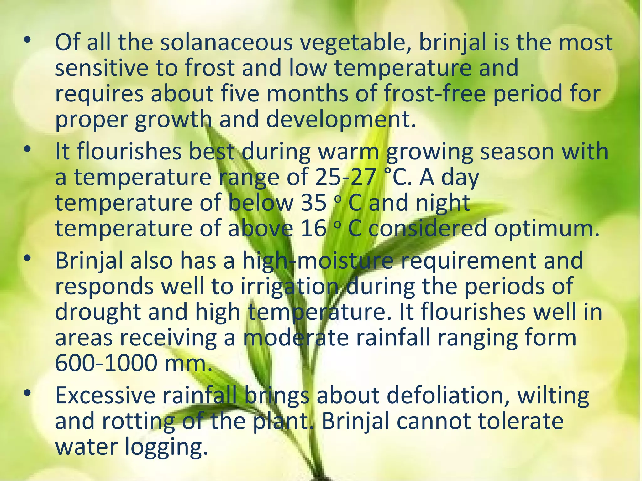 Important Solanaceae crops | PPT