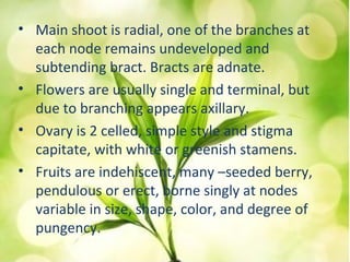 Important Solanaceae crops | PPT
