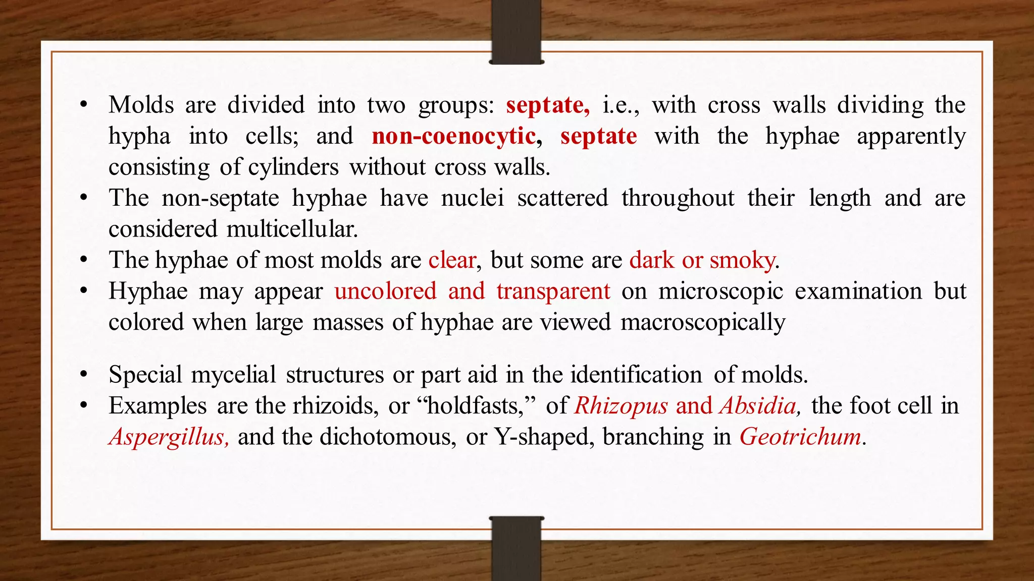 Imp. microorganisms in food microbiology | PDF
