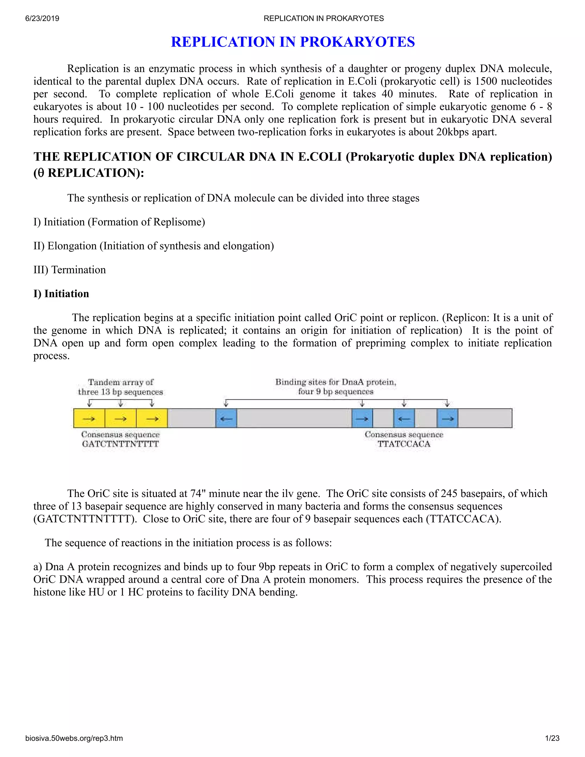 Imp replication in prokaryotes | PDF