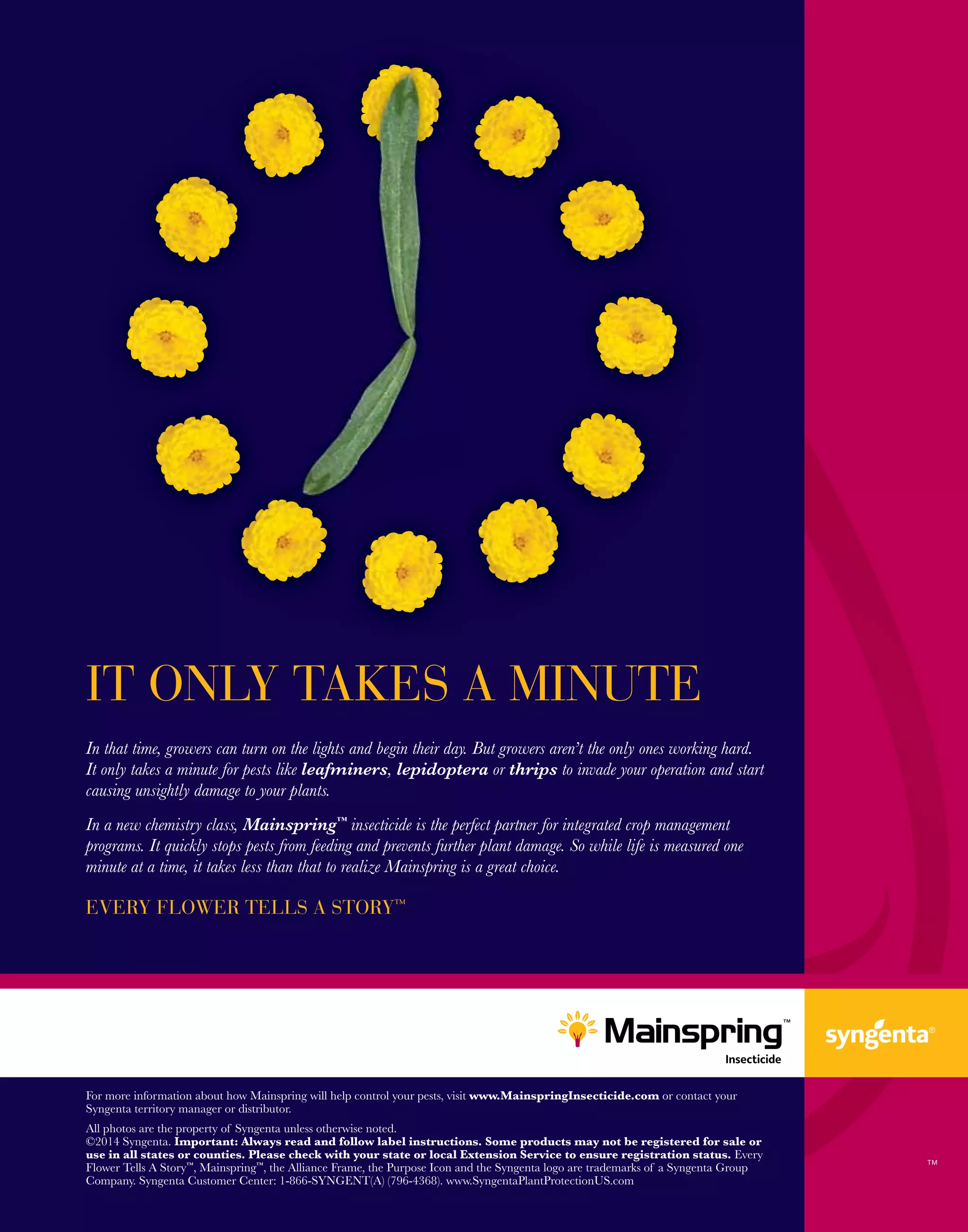 Imp syngenta-insecticide-fungicide-guide | PDF