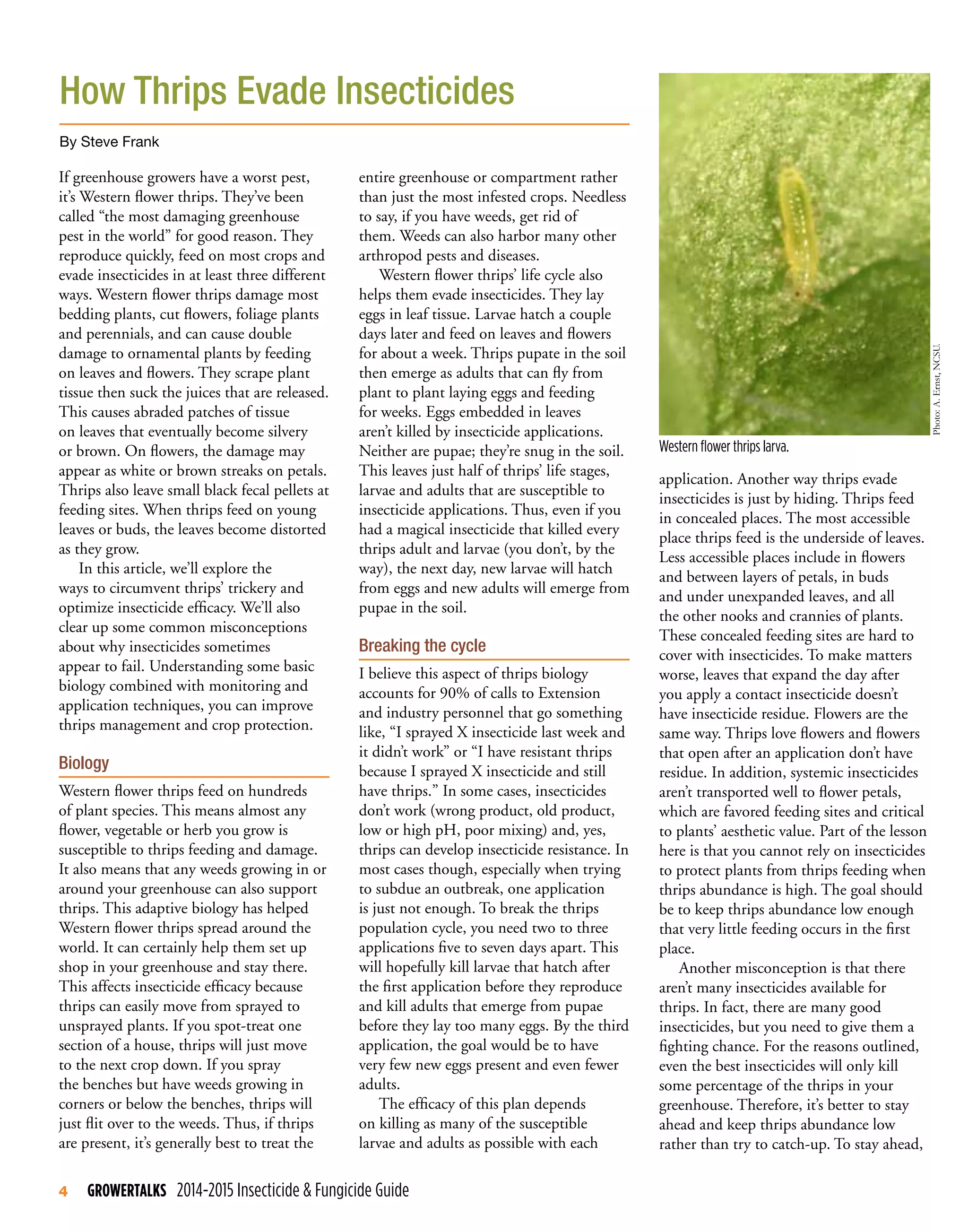 Imp syngenta-insecticide-fungicide-guide | PDF