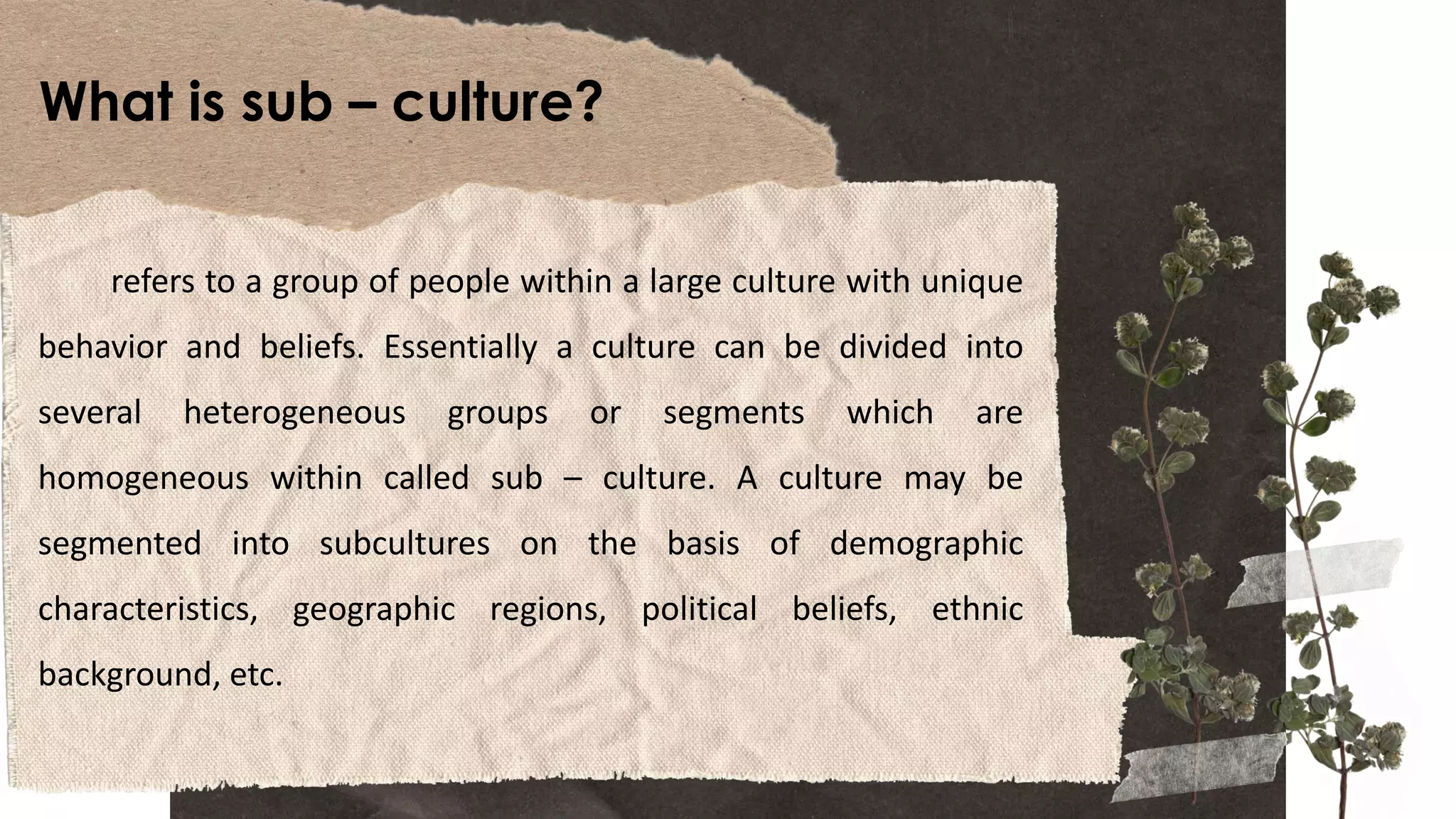 Impact-of-Subculture-on-consumer-behavior-by-ALJAS.pptx