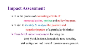 Impact Assessment Indicator.pptx