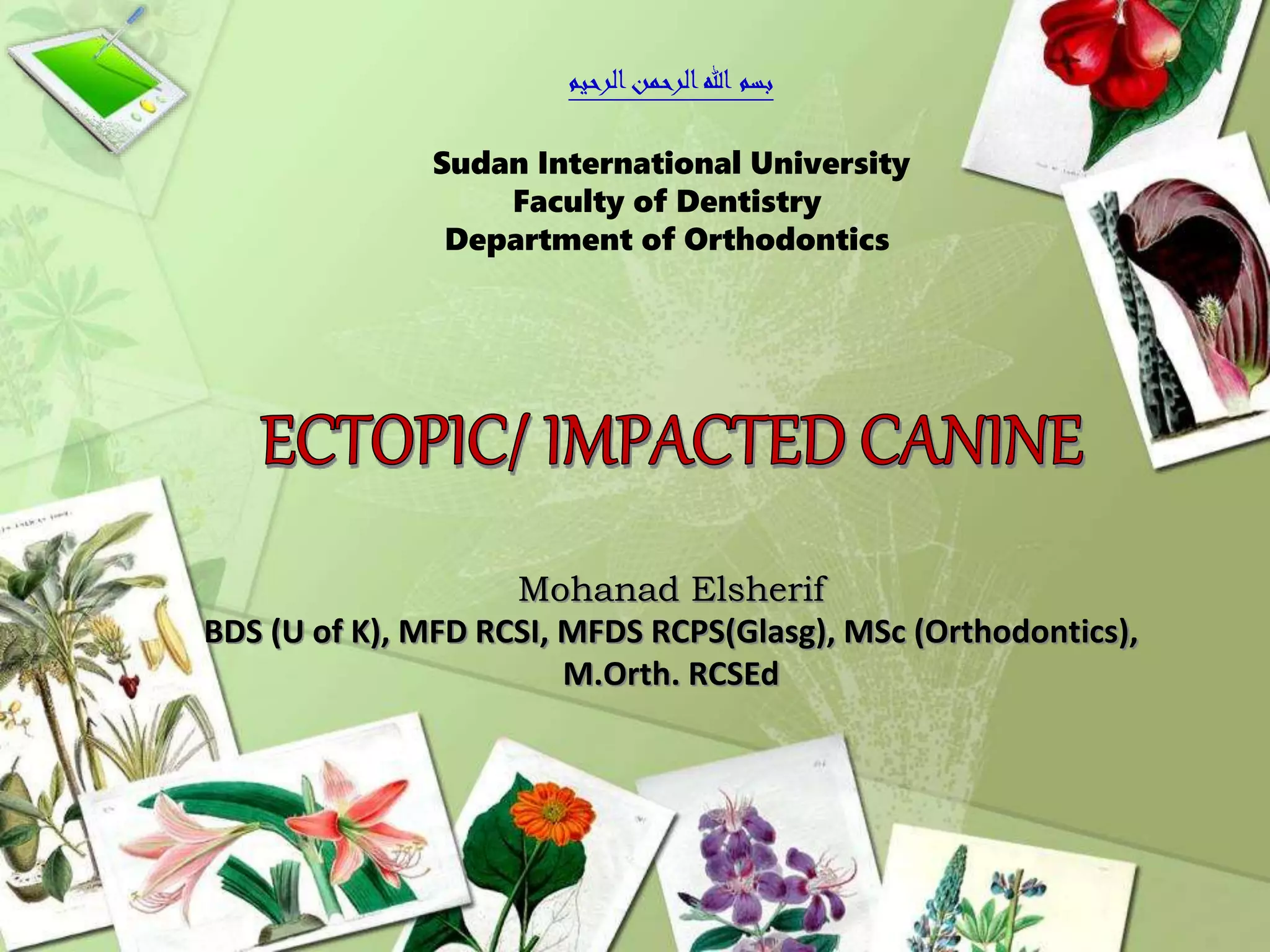 Impacted canine | PPT