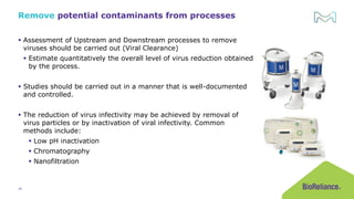 Viral safety of biologics: What's changing with the ICH Q5A revision? | PDF