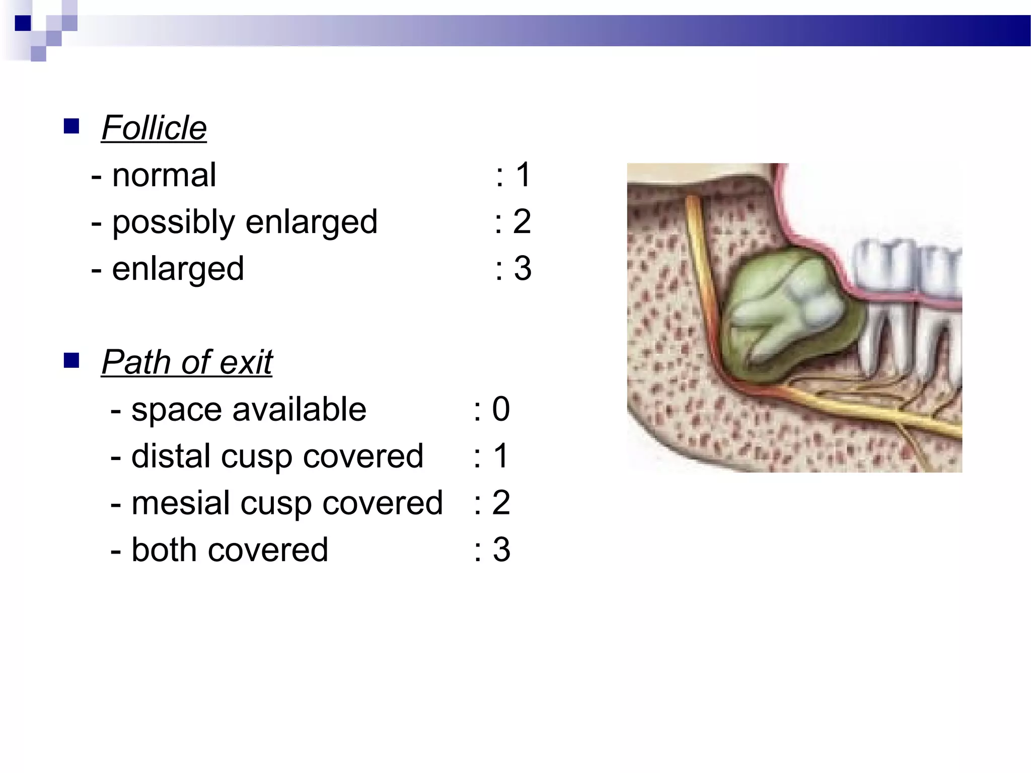 Impaction | PPT