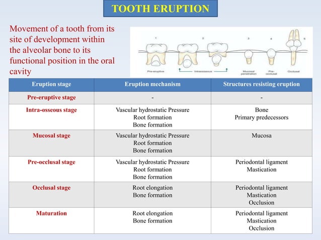 Impaction | PPTX | Dental Health | Diseases and Conditions