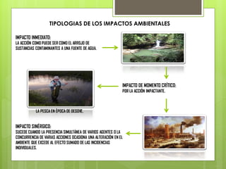 Impacto ambiental | PDF