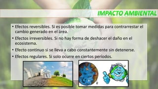 IMPACTO AMBIENTAL.pptx