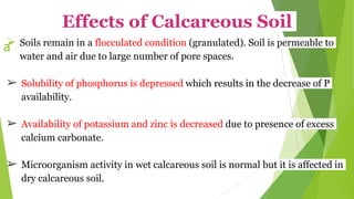 Impact of calcareous soil on crop production in bihar | PPTX