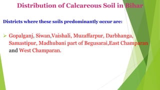 Impact of calcareous soil on crop production in bihar | PPTX