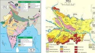 Impact of calcareous soil on crop production in bihar | PPTX