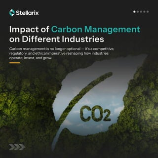 Impact of Carbon Management on Different Industries | PDF
