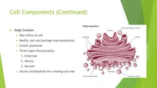 Impact of cell physiology | PPTX