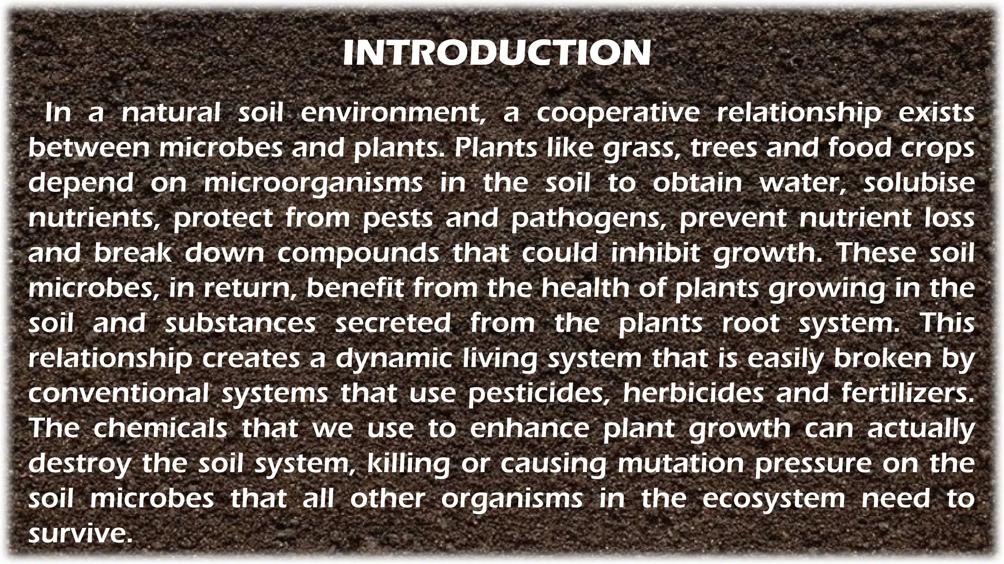 Impact of chemicals on microbes and plants.PPT.pptx