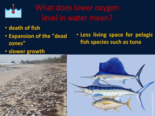 Impact of Climate change on fish Production.pdf