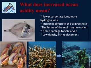 Impact of Climate change on fish Production.pdf