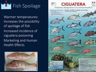Impact of Climate change on fish Production.pdf