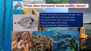 Impact of Climate change on fish Production2022.pdf