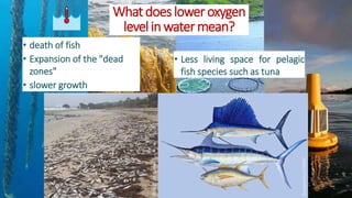 Impact of Climate change on fish Production2022.pdf