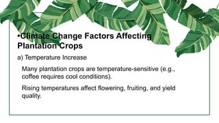 Impact of Climate Change on Plantation Crops.pptx