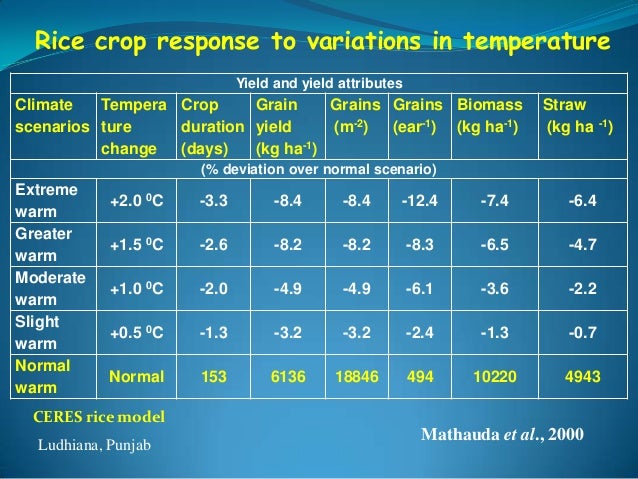 Impact of climate change on rice production