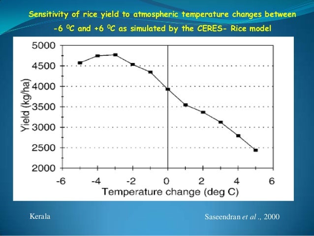 Impact of climate change on rice production