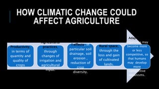 Impact of climatic change on agriculture | PPTX | Agriculture | Industries