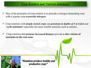 Impact of Crop Rotation in maintaining Soil Fertility | PPSX