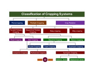Impact of cropping system on soil health and crop productivity | PDF