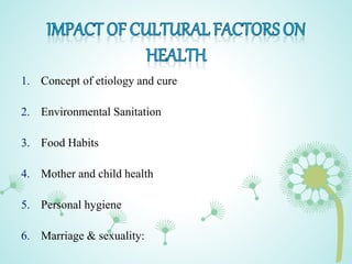 Culture Health Care