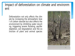 Impact of deforestation on climate and environment By Mr Allah Dad Khan ...