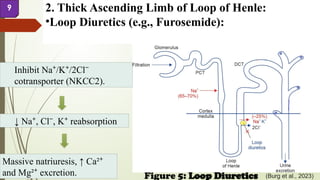 IMPACT OF DIURETICS ON RENAL TUBULAR TRANSPORTERS AND ELECTROLYTES.pptx