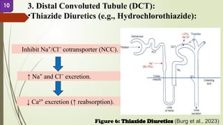 IMPACT OF DIURETICS ON RENAL TUBULAR TRANSPORTERS AND ELECTROLYTES.pptx