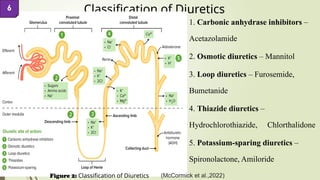 IMPACT OF DIURETICS ON RENAL TUBULAR TRANSPORTERS AND ELECTROLYTES.pptx