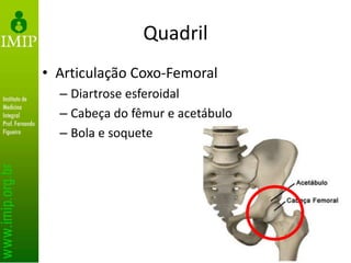Impacto femoro acetabular - Dr Leandro Freire
