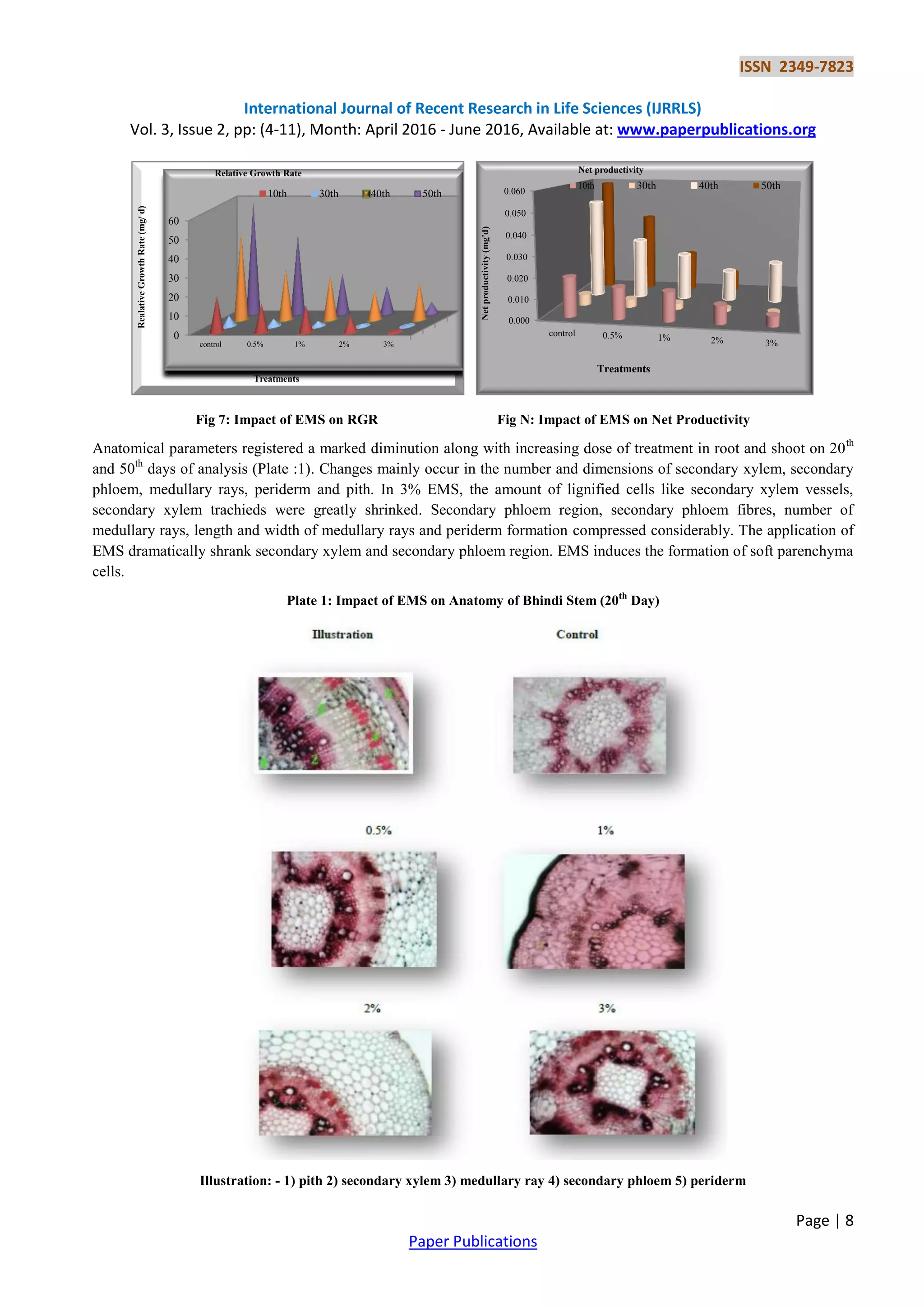 Impact of EMS Induction on Morphological, Anatomical and Physiological Traits of Bhindi ...