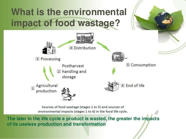 Impact of food waste on environment