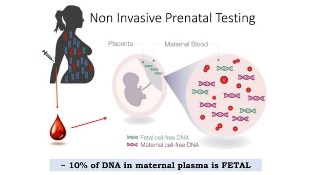 Impact Of Genetic Testing For RPL Couples | PPT