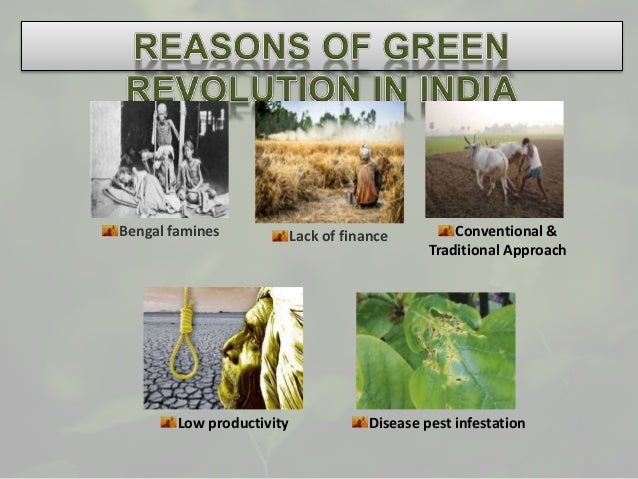 Impact of Green Revolution on Indian Agriculture