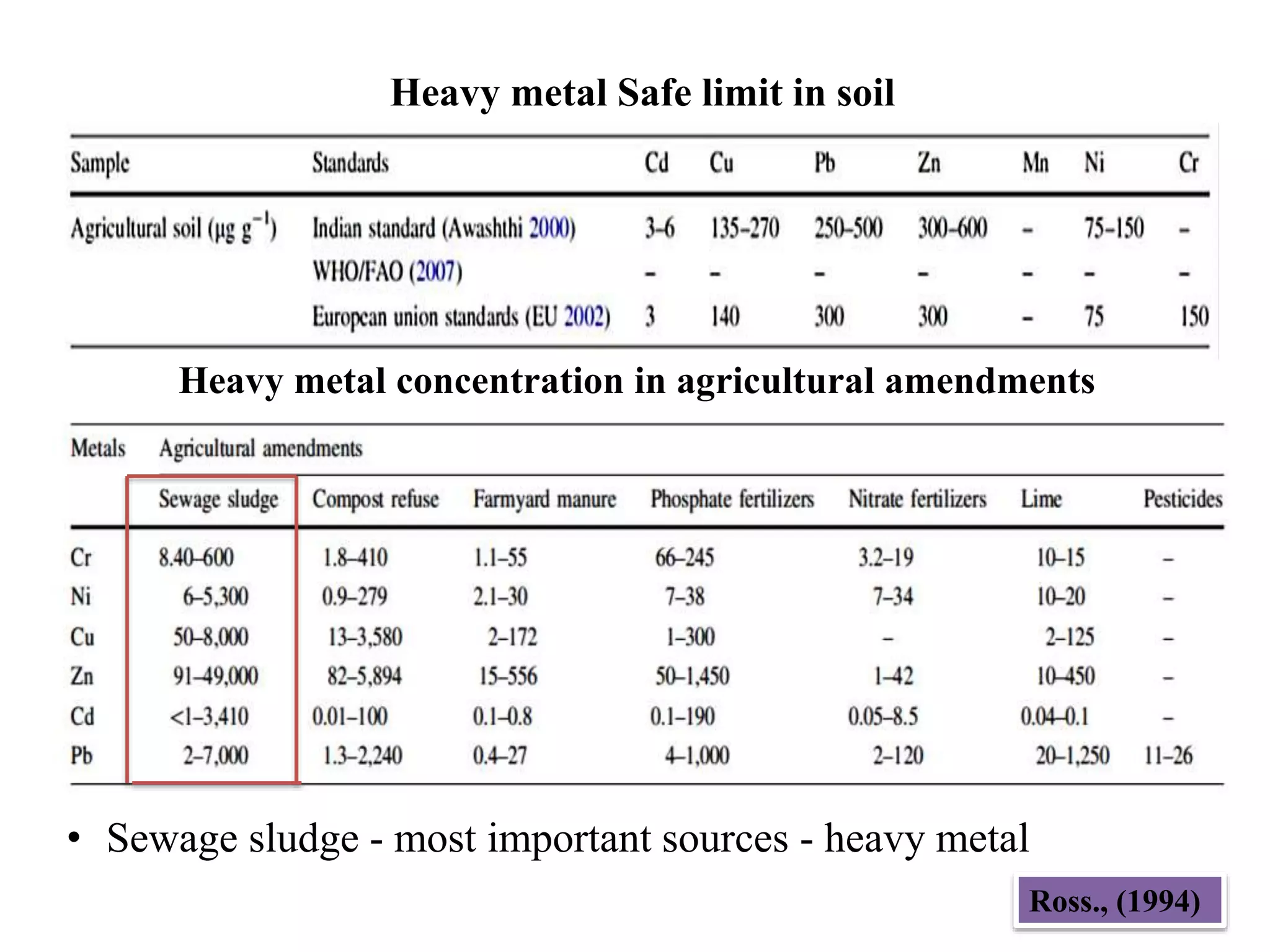 Impact Of Heavy Metals In Vegetable Crops | PPTX