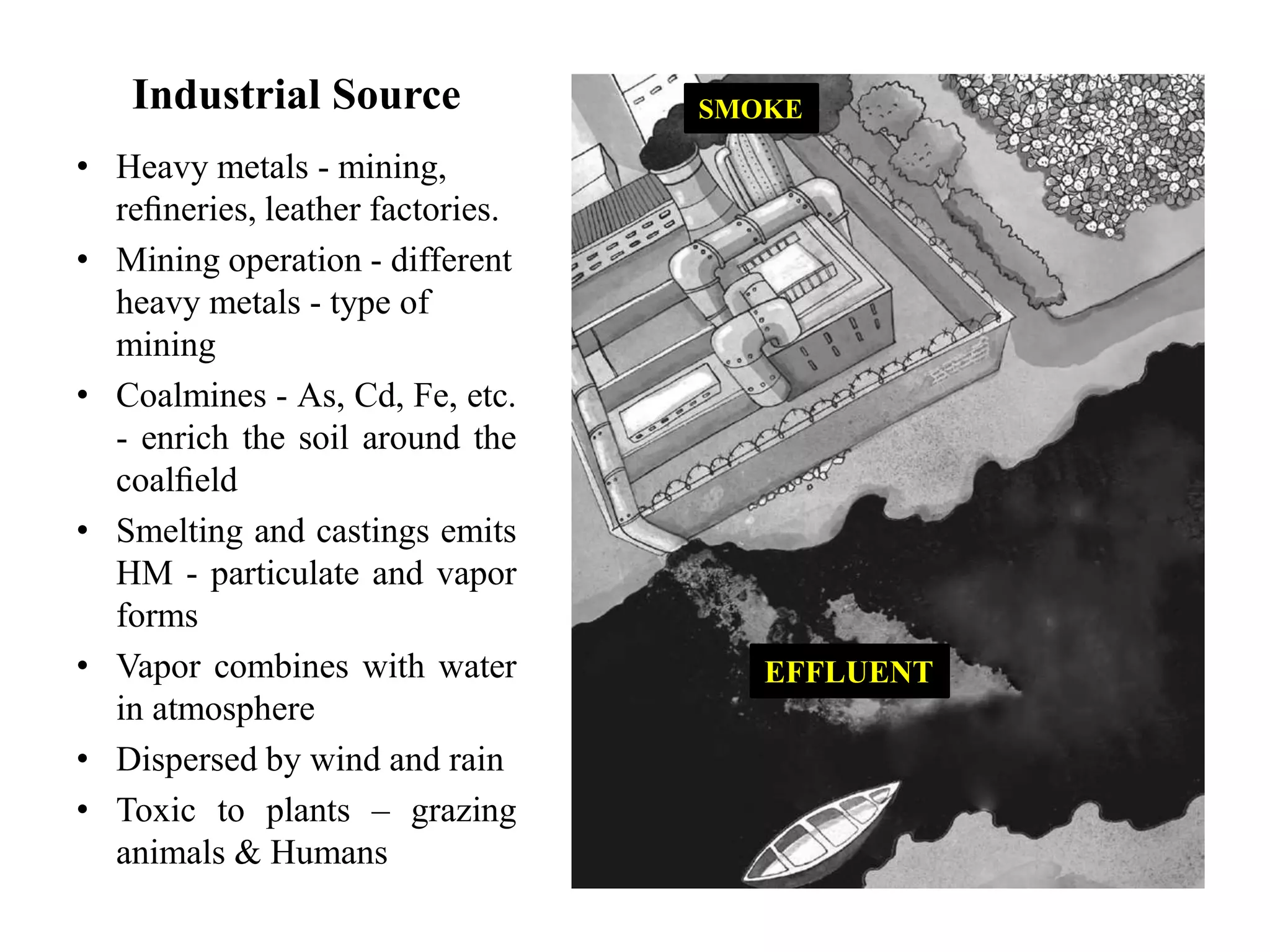 Impact Of Heavy Metals In Vegetable Crops | PPTX