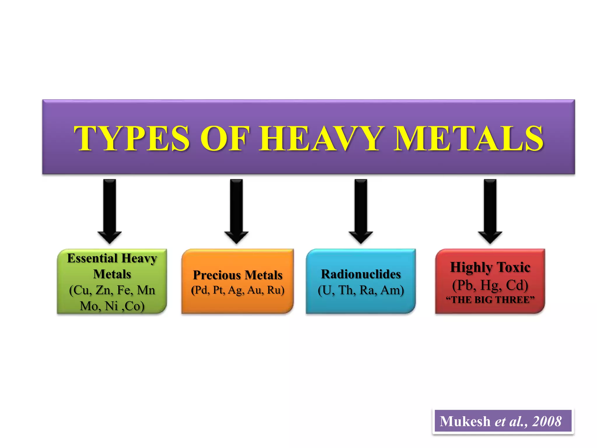 Impact Of Heavy Metals In Vegetable Crops | PPTX