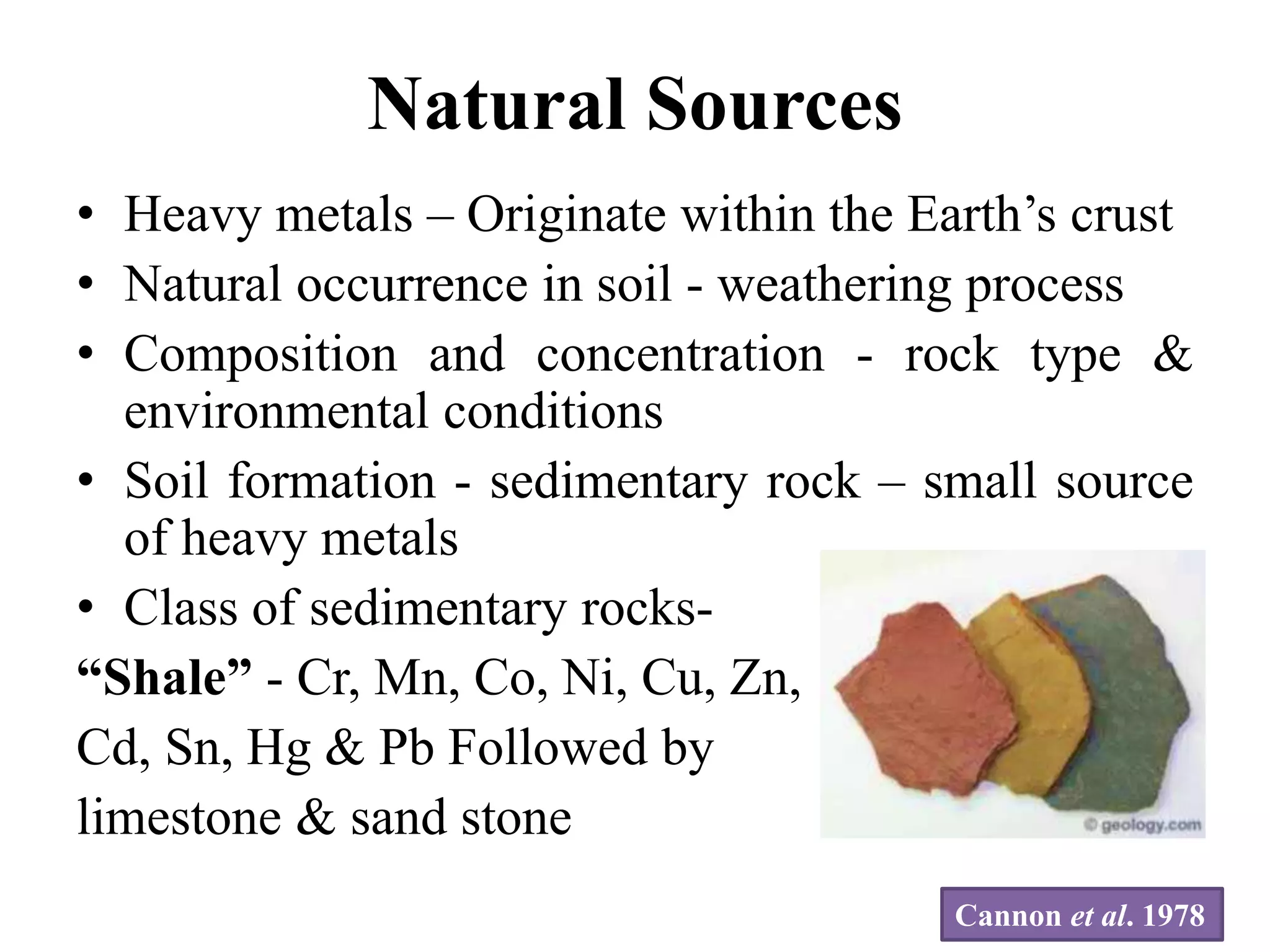 Impact Of Heavy Metals In Vegetable Crops | PPTX