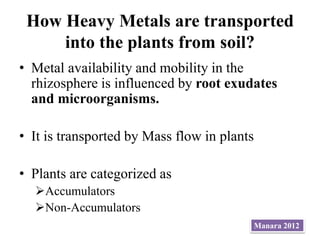 Impact Of Heavy Metals In Vegetable Crops | PPTX