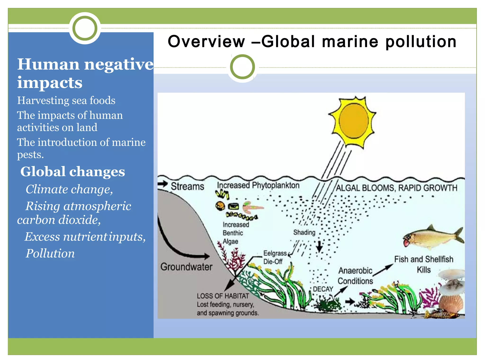 Impact of human activities on global marine environment | PPT