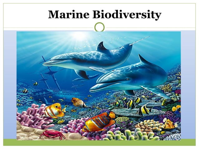 Impact of human activities on global marine environment | PPT ...