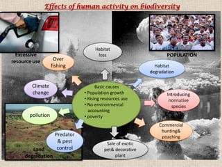 Impact of human on climate conclusion | PPTX